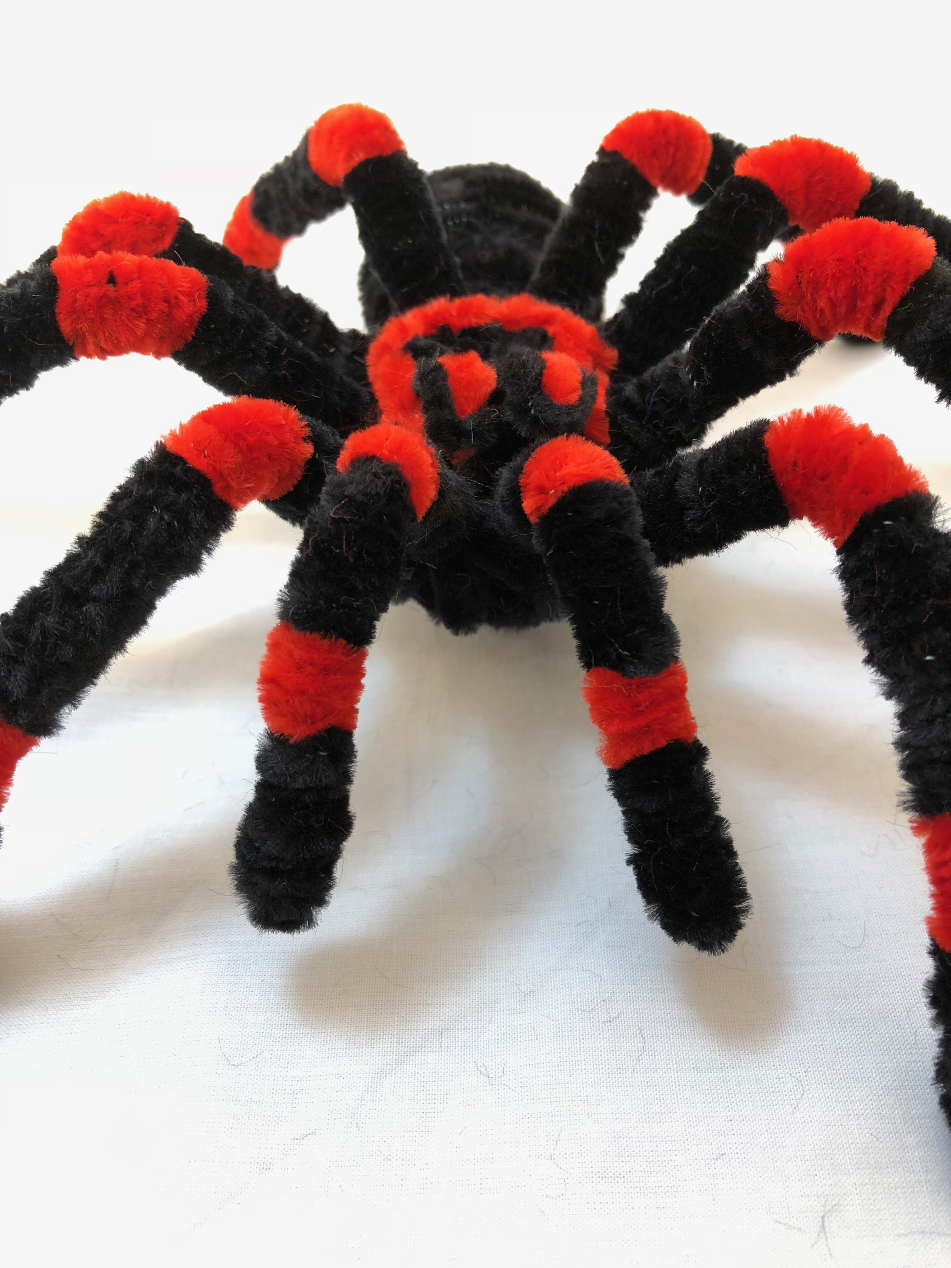 Amazing Pipe Cleaner Art | Bettes Makes