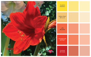 Professional Color Palettes - The Colors of Nature - Bettes Makes