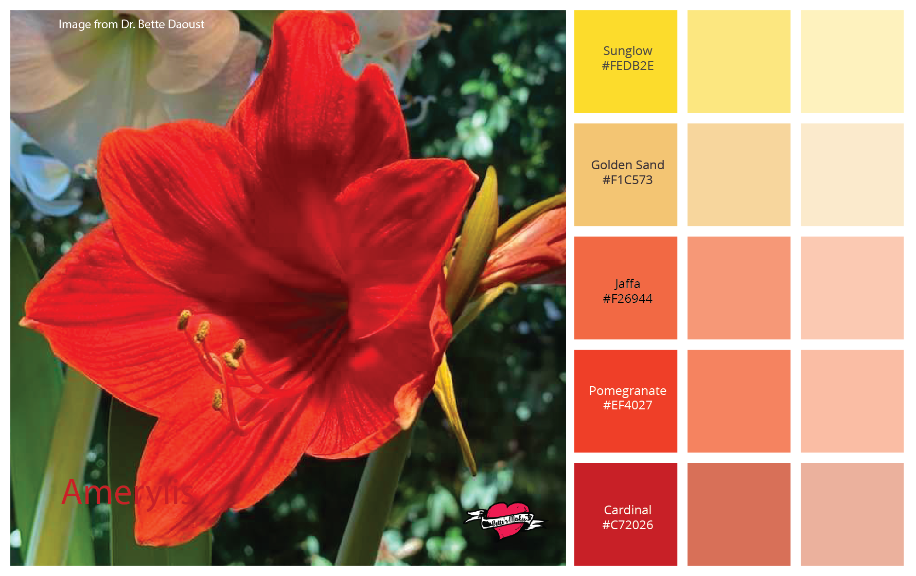 Professional Color Palettes - The Colors of Nature - Bettes Makes