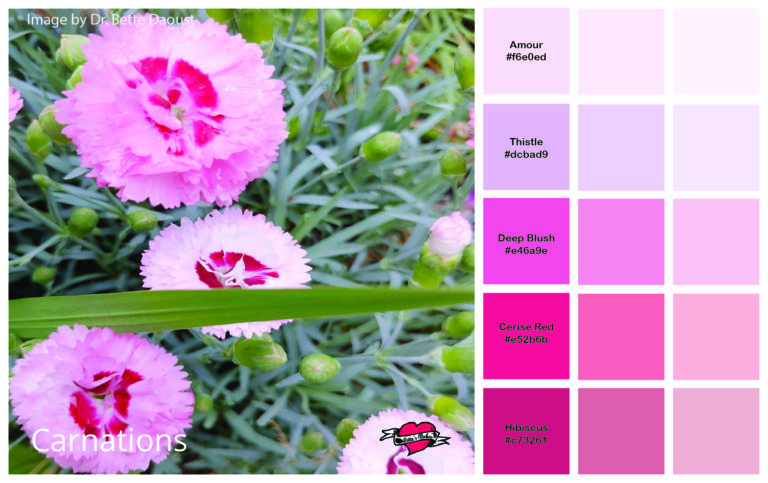 Professional Color Palettes - The Colors of Nature - Bettes Makes