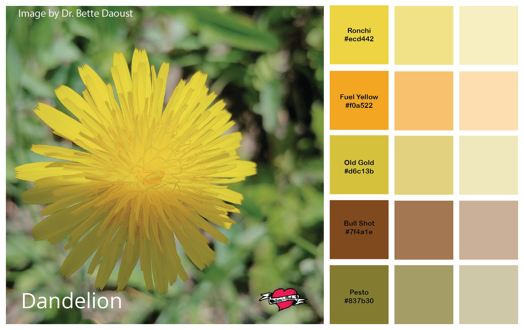 Professional Color Palettes - The Colors of Nature - Bettes Makes