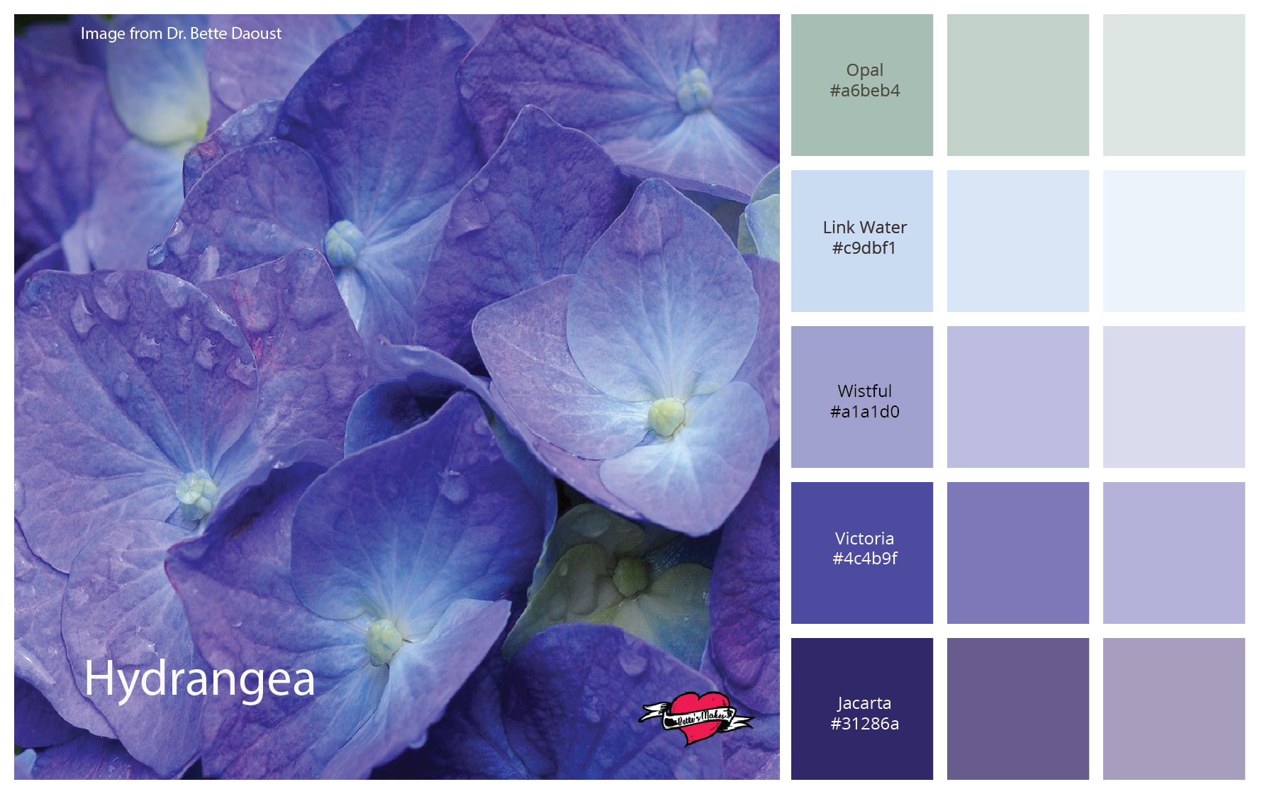 Professional Color Palettes - The Colors of Nature - Bettes Makes