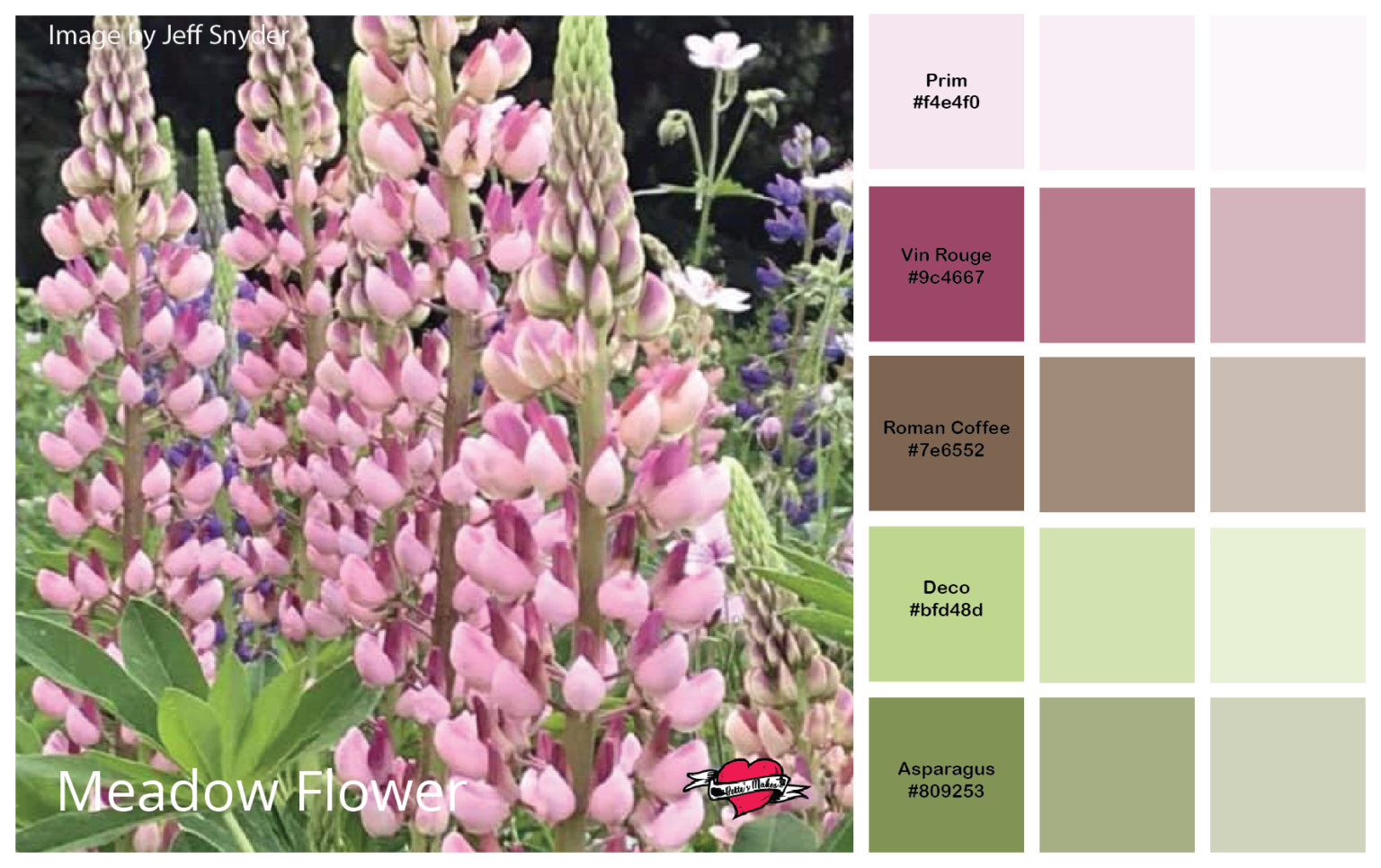 Professional Color Palettes - The Colors of Nature - Bettes Makes