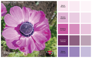 Professional Color Palettes - The Colors of Nature - Bettes Makes