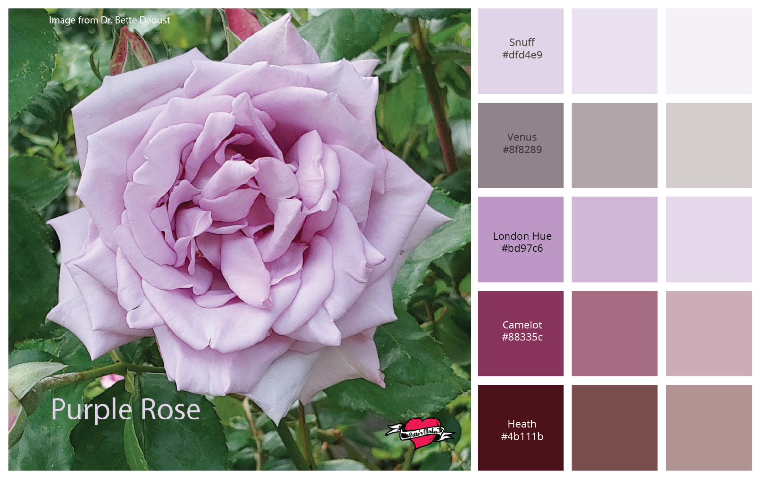 Professional Color Palettes - The Colors of Nature - Bettes Makes