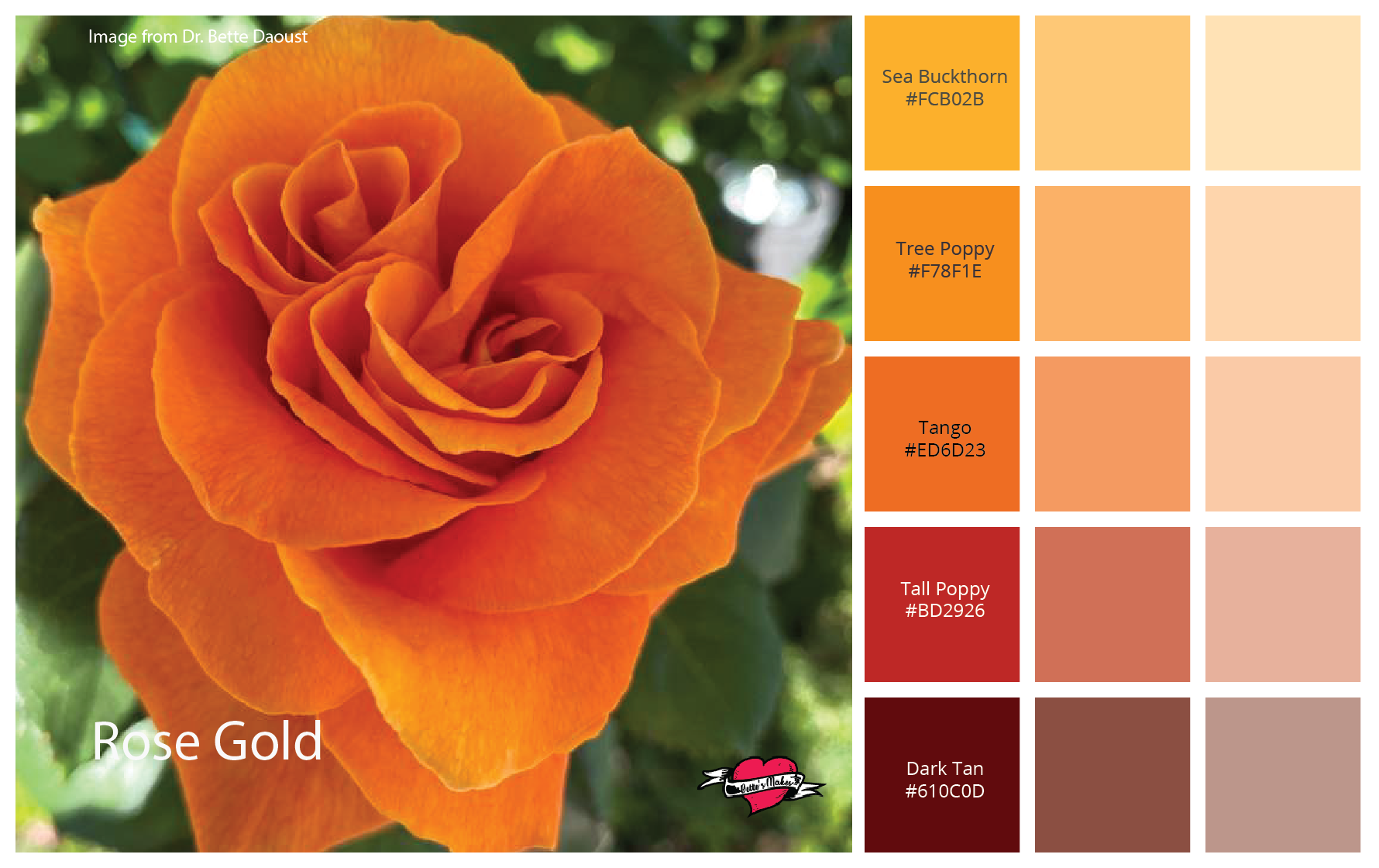 Professional Color Palettes - The Colors of Nature - Bettes Makes