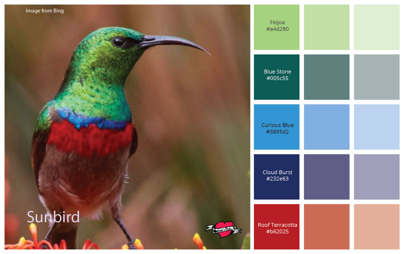 Professional Color Palettes - The Colors of Nature - Bettes Makes