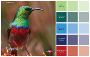 Professional Color Palettes - The Colors of Nature - Bettes Makes