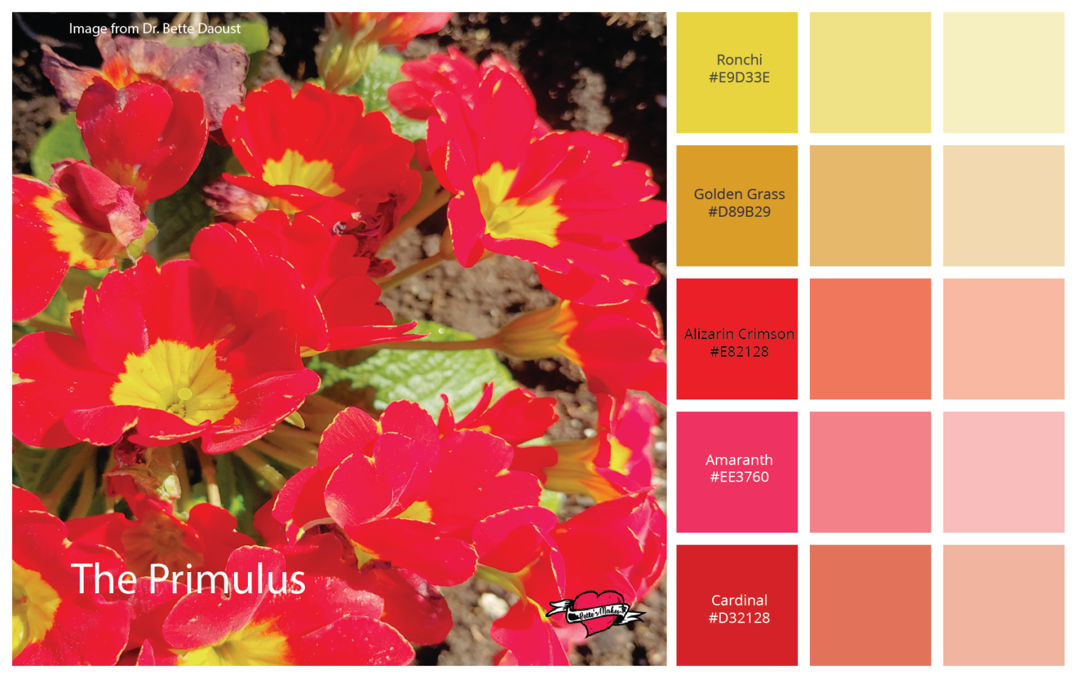 Professional Color Palettes - The Colors of Nature - Bettes Makes