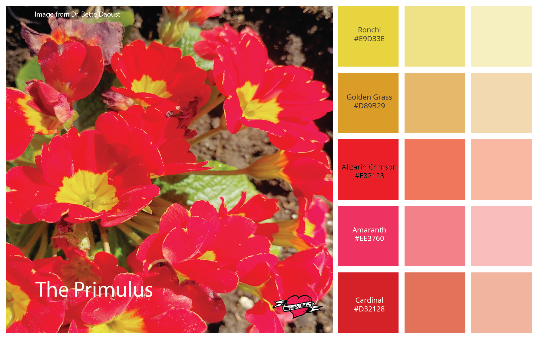 Professional Color Palettes - The Colors of Nature - Bettes Makes