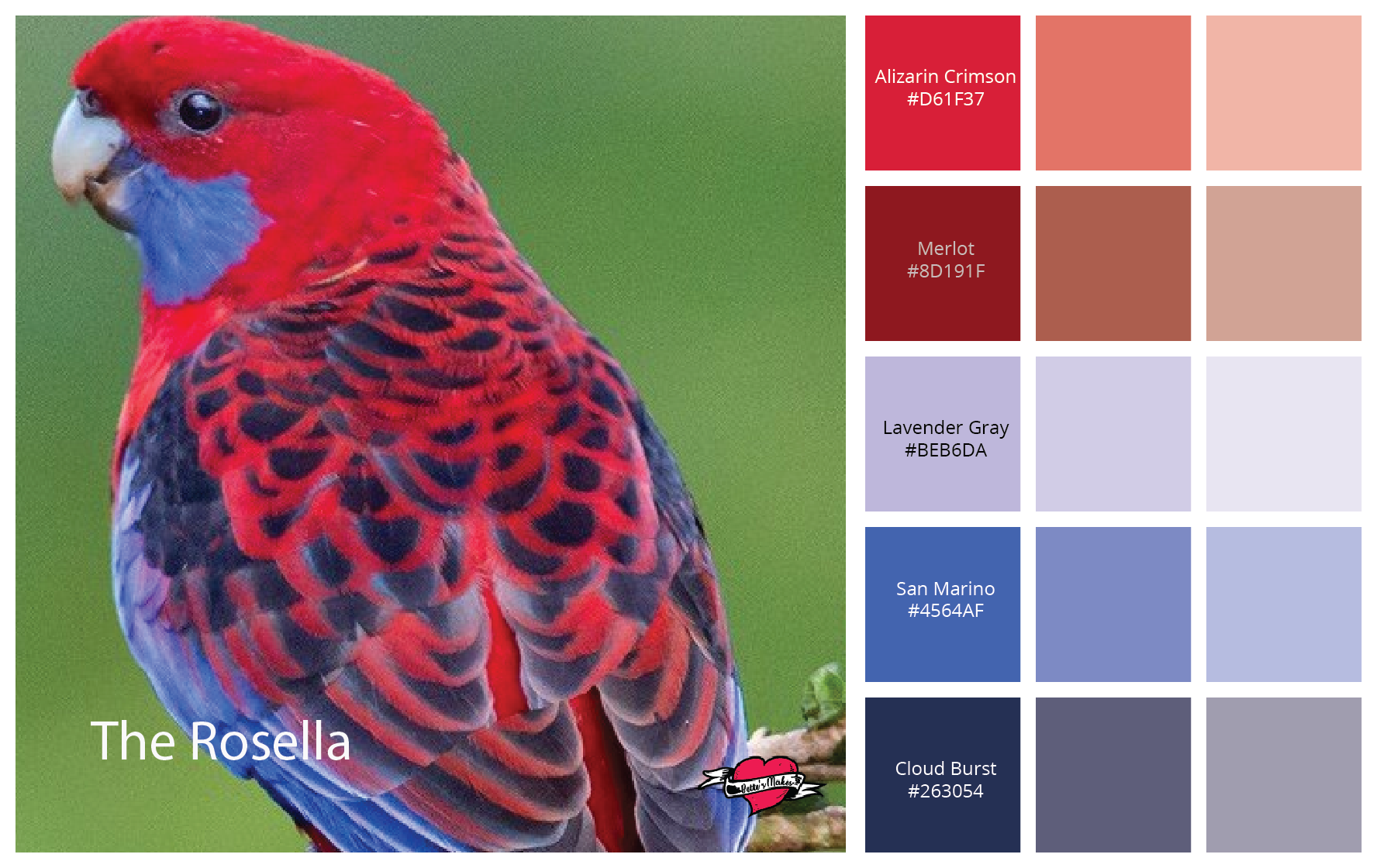 Professional Color Palettes - The Colors of Nature - Bettes Makes