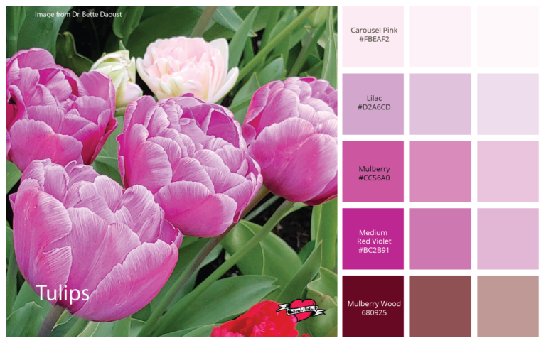 Professional Color Palettes - The Colors of Nature - Bettes Makes