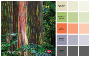Professional Color Palettes - The Colors of Nature - Bettes Makes